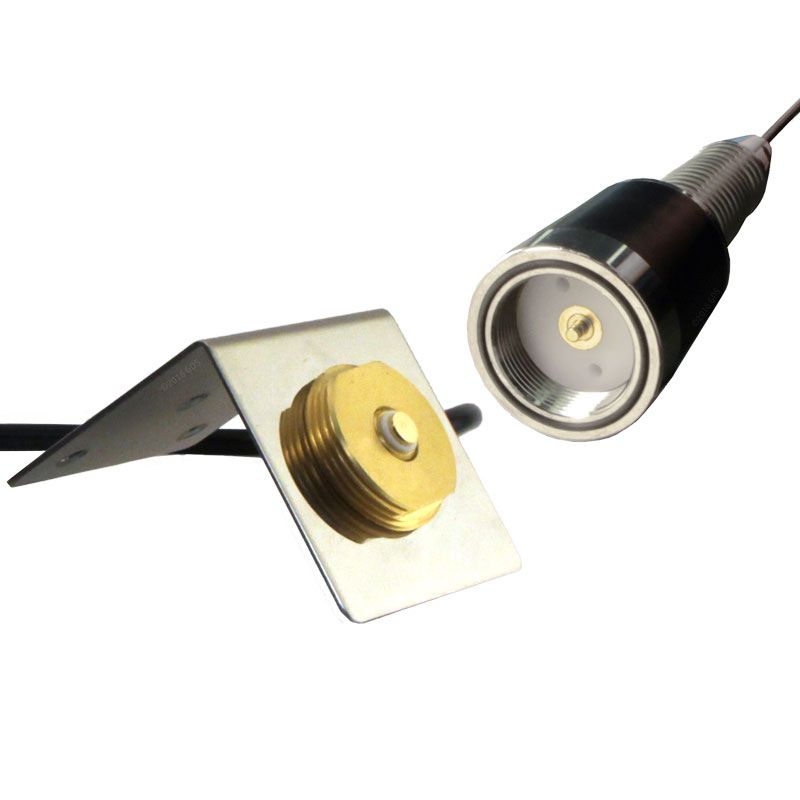 "Super" Fender / Dog Box Mount with Spring Whip Long Range Antenna. $49.95.