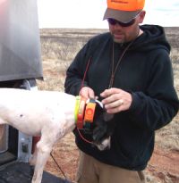 ARTICLE: Introducing Your Dog to the Remote Beeper.