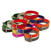 Beagle Field Trial Dog Collar Sets with FREE NAME PLATES!.