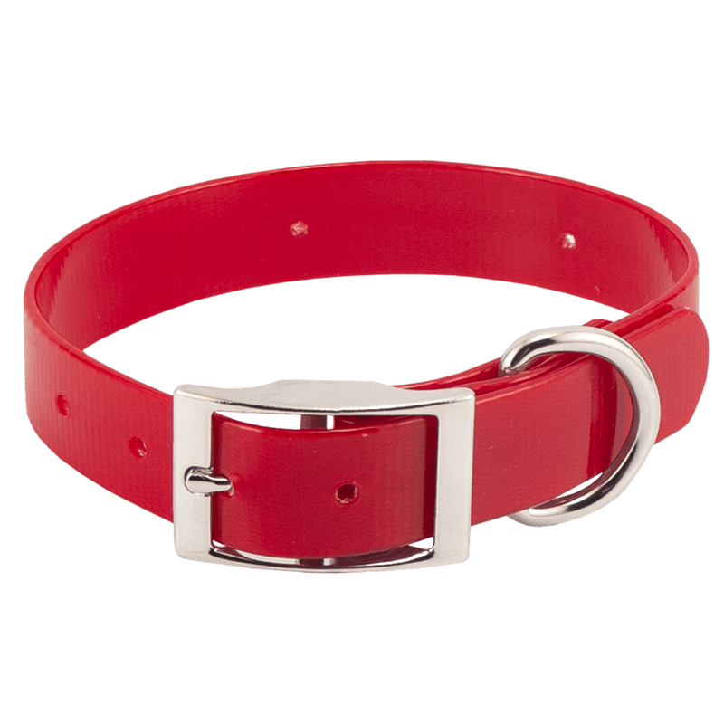 MOPIX - Beagle 1" WINNERS Pack Red Collar.