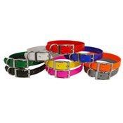 Beagle Hunting, Training, and Field Trial Supplies.