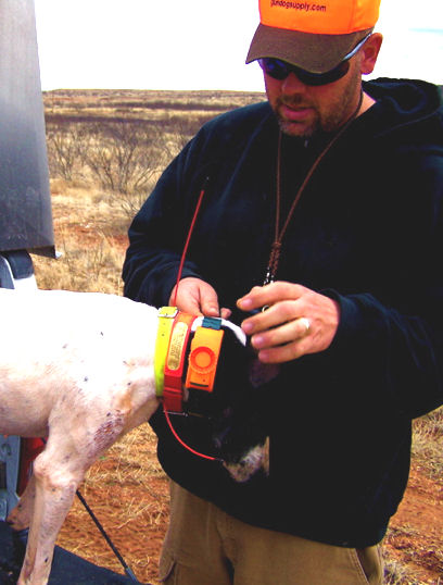 Beeper Collars Buyer's Guide by Steve Snell.