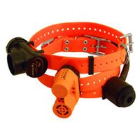 Beeper Collars from Scott, Lovett's, Tri-Tronics, Innotek, SportDOG, DT ...