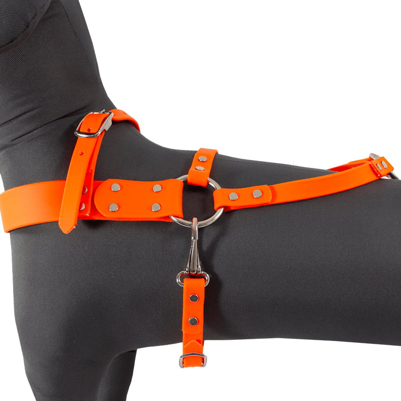 MOPIX - Big Dawg Roading Harness Quick Release Detail.