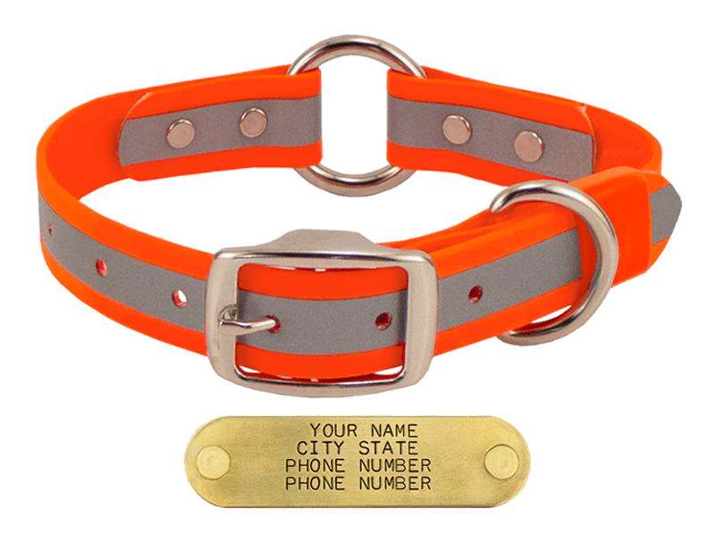 BIG DAWG Visibility -- HUNTER ORANGE 1 in. Reflective Biothane O-Ring ...