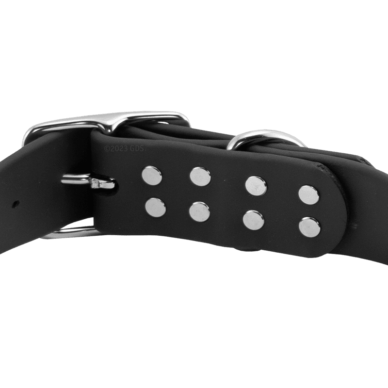 MOPIX - Bigger Dawg Standard Collar Buckle Back Detail.