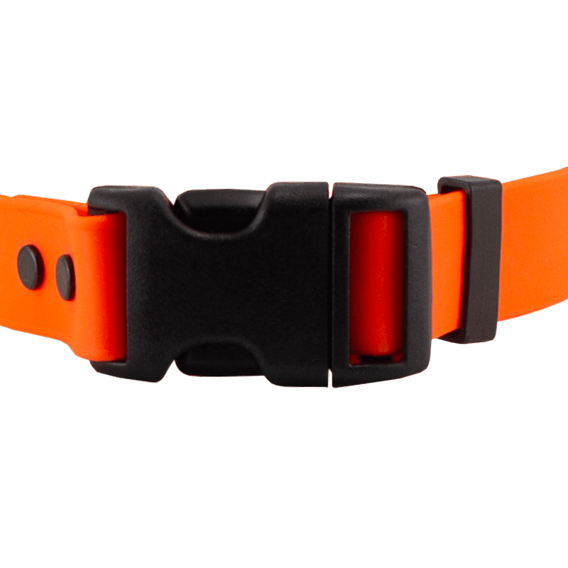 MOPIX - Biothane Adjustable Quick Release E-Collar Strap Buckle Detail.