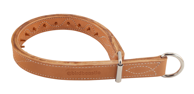 24 in. BirdBeastie Leather Pinch Collar. $89.00.