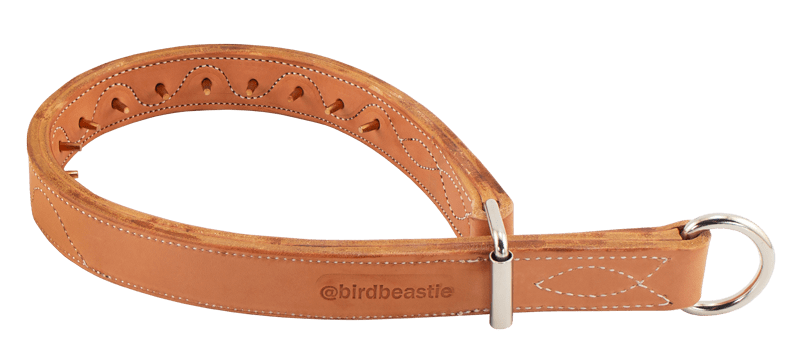 25 in. BirdBeastie Leather Pinch Collar. $119.00.