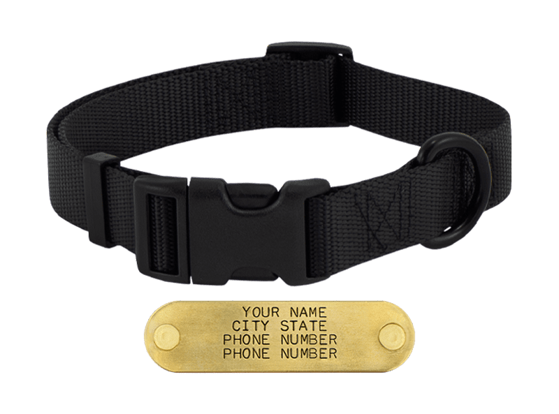 BLACK LONG 1 in. QUICK DAWG Nylon Quick Release Collar | Gun Dog Supply