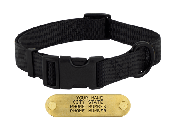 BLACK LONG 1 in. QUICK DAWG Nylon Quick Release Collar | Gun Dog Supply