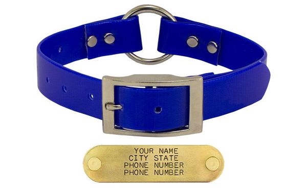 BLUE 1 in. Day Glow Center-Ring Collar. $6.99.
