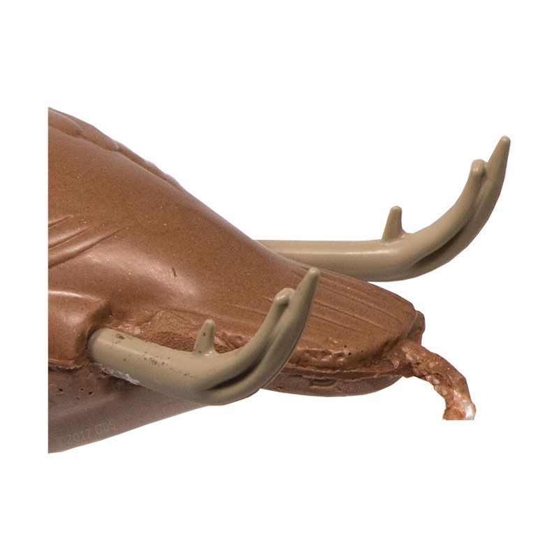 Dokkens Dead Fowl Trainers Bobwhite Quail 22 99 Save 2 56 dokkens-dead-fowl-trainers-bobwhite-quail-22-99-save-2-56