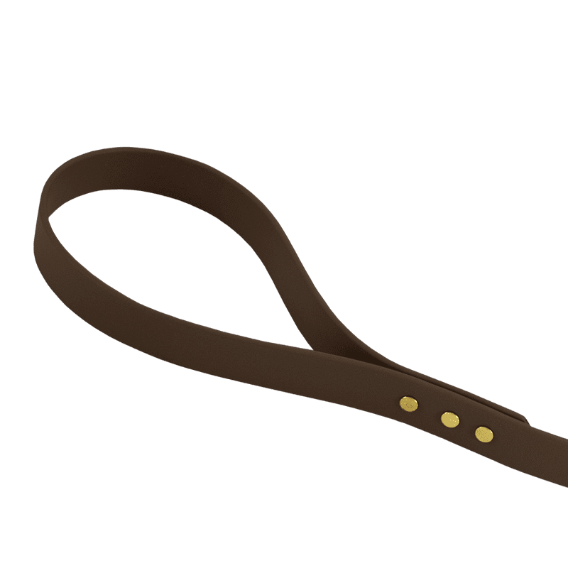 MOPIX - Brass Dawg Lead Handle Detail.