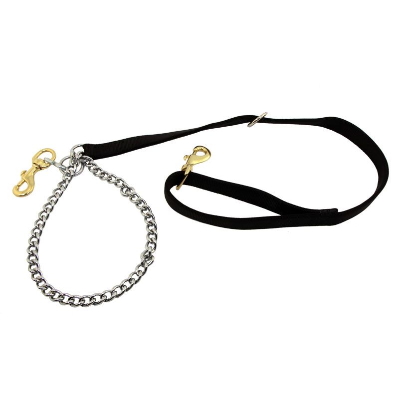 Omnipet 4 1/2 ft. Bravo Nylon Chain Tree Lead. $12.99.