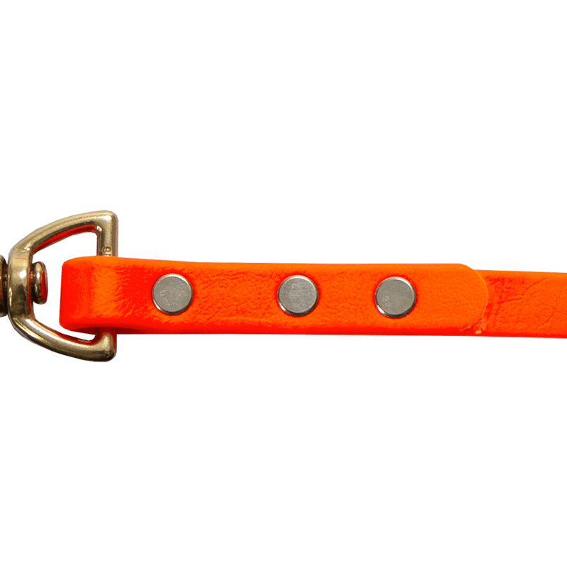 12 ft. x 1/2 in. Flat Biothane Check Cord. $24.99.