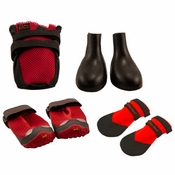 Pointer Hunting and Training Supplies.