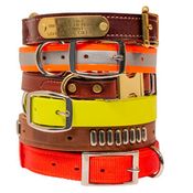 GUN DOG SUPPLY reviews Hunting Dog Training Collars & Supplies for ...
