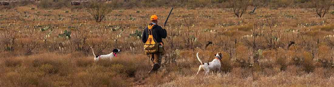 Shop Dog Tracking Collars & Systems for Hunting Dogs
