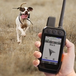 GUN DOG SUPPLY reviews Hunting Dog Training Collars & Supplies for ...