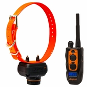 Combination Beeper / Training Collars.