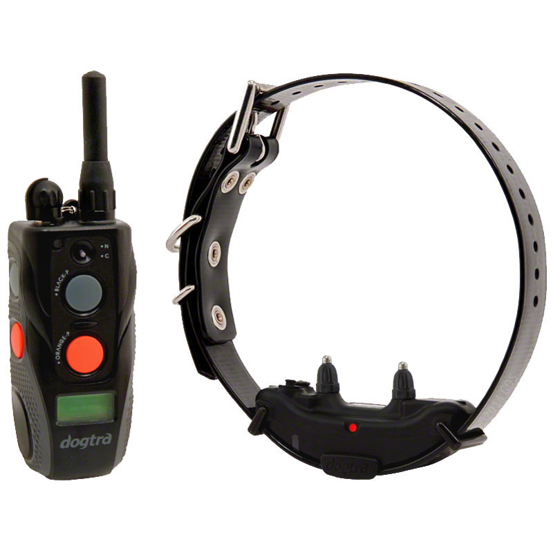 MOPIX - Dogtra Arc Transmitter and Collar.