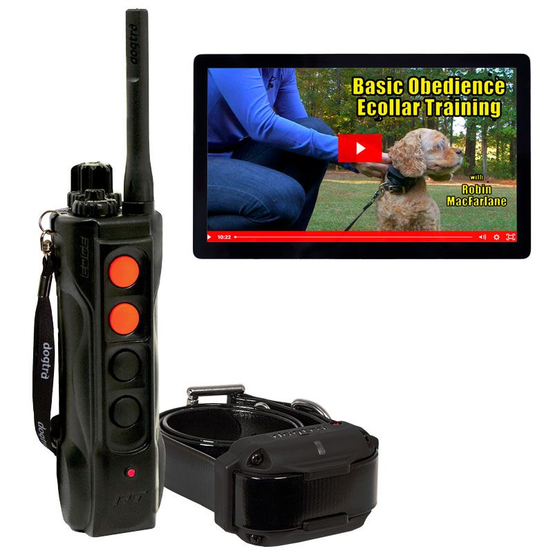 Dogtra Edge RT Remote Training Collar | Gun Dog Supply