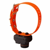 Stand Alone Beepers & Beeper Collars.