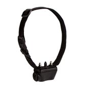 DT Systems Electronic Remote Dog Training Collars | Gun Dog Supply