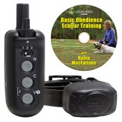 Read Steve's Quick Picks for Dog Training Collars.