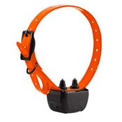 DT Systems MR 1100 Series Training Collars.