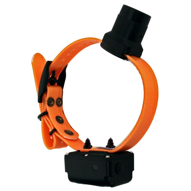 DT Systems Add-On Collar for R.A.P.T. 1450 Upland System. $179.99 (Save ...