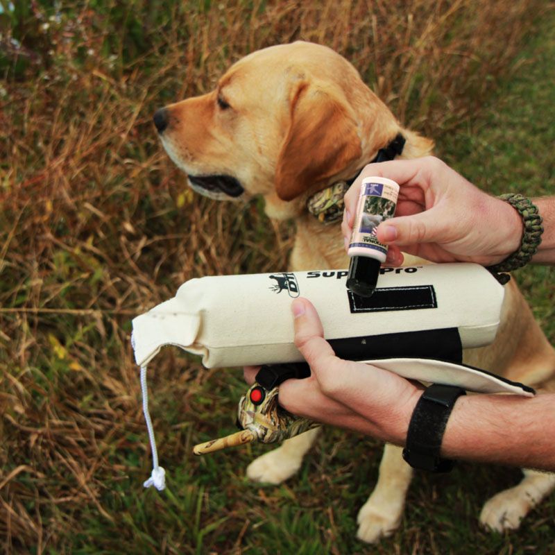 DT Systems Super Pro Small Winged Flyer Canvas Dummy with Scent Strip ...