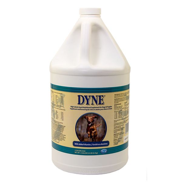 Dyne High Calorie Liquid Dietary Supplement -- 1 gal.. $74.99.