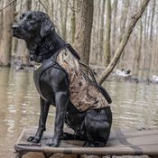 Duck Dog Stands, Blinds & Boat Ladders for Duck Hunting.