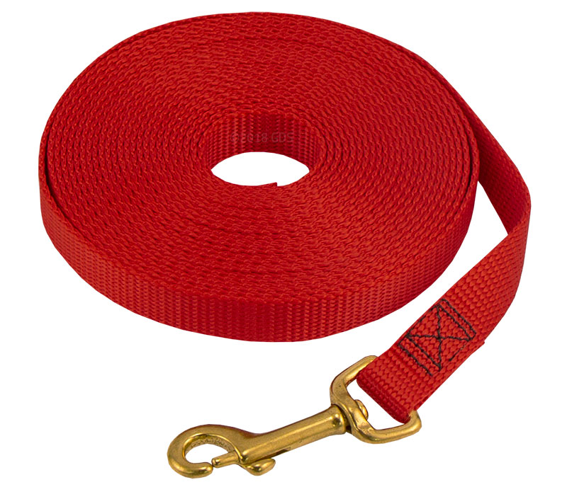 Flat Nylon Webbing Check Cord -- 5/8 in. x 20 ft.. $12.95.