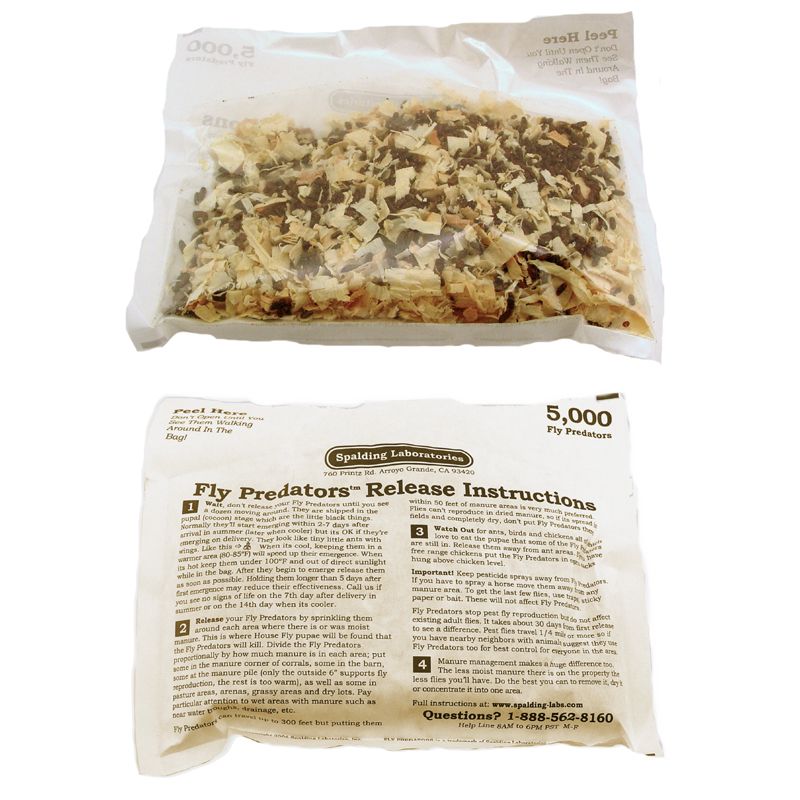 Fly Predators from Spalding Labs Gun Dog Supply