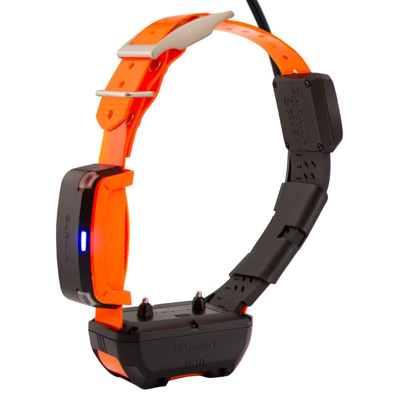 MOPIX - Garmin Alpha LTE on TT25 Collar.