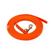 Biothane Check Cords.