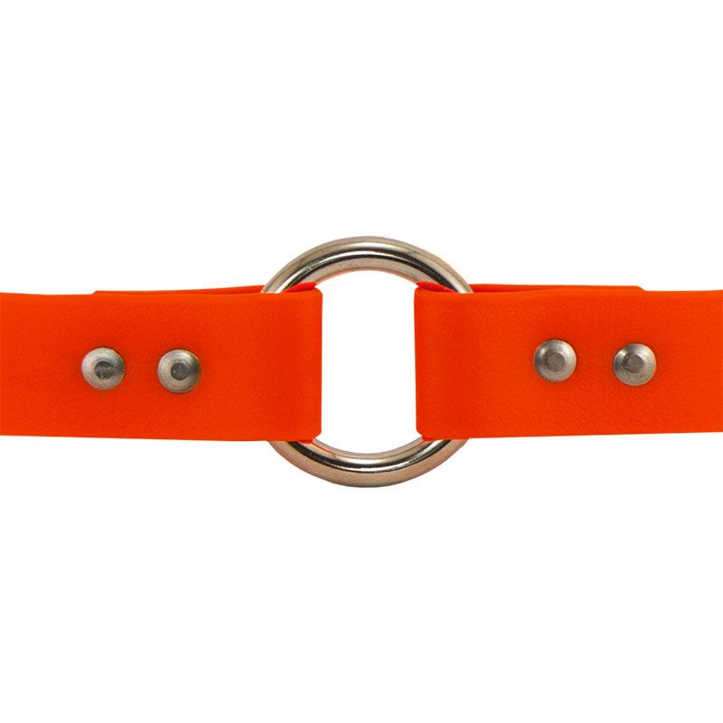 1 in. Orange Granite O-Ring Dog Collar -- Stainless Steel Hardware. $14.99.
