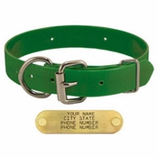 Day Glow Dog Collars with FREE NAME PLATES!.