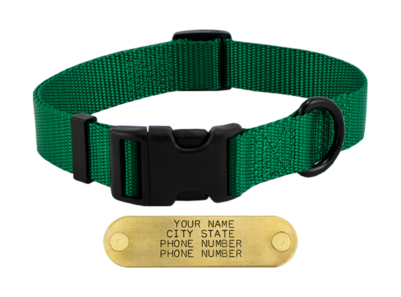 GREEN LONG 1 in. QUICK DAWG Nylon Quick Release Collar | Gun Dog Supply