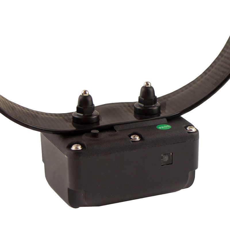 DT Systems H2O 1800 PLUS Add-On Collar with Green Strap. $129.99. FREE ...