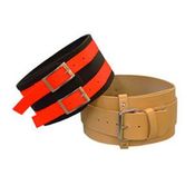 Buy Dog Collars: FREE Brass Dog Name Plate w/ most dog collars!