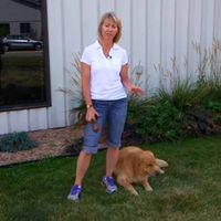Robin MacFarlane Ecollar & Other Dog Training Videos.