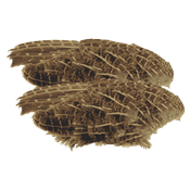 Game Bird Wings for Dog Training (Grouse, Pheasant, Quail).