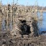 InvisiLAB Dog Blind and Stand by MOmarsh -- Optifade Marsh. $239.99 ...