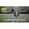 Basic Obedience Ecollar Training by Robin MacFarlane DVD -- Pro Dog ...