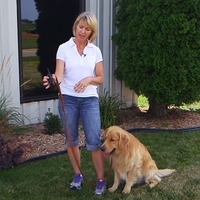 Robin MacFarlane Ecollar & Other Dog Training Videos.