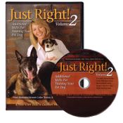 What training do I need to use a dog training collar?.